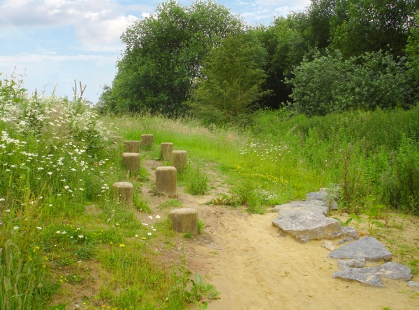 Stepping posts - 2.004 | The Children's Playground Company